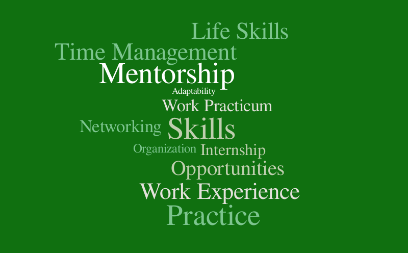 Work Practicum – Word cloud – WordItOut