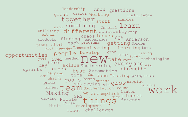 What excites and fulfills you about working in SQA? – Word cloud ...