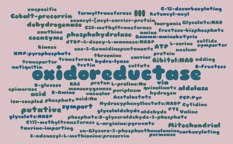 Untitled – Word cloud – WordItOut