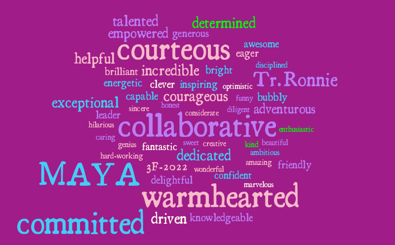 MAYA 3F – Word cloud – WordItOut
