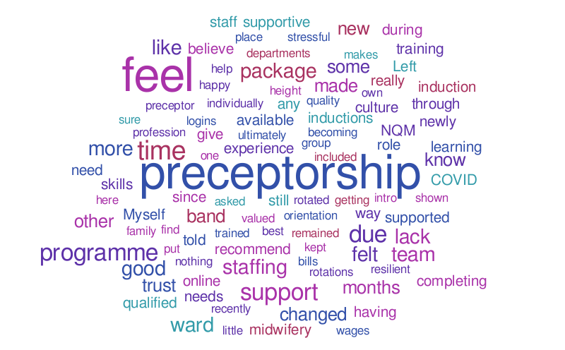 Preceptorship - Word cloud - top 50 – Word cloud – WordItOut