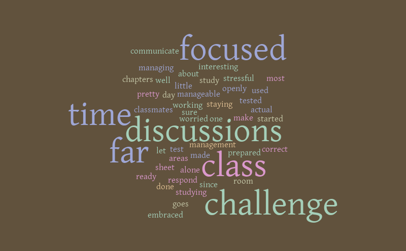 bio – Word cloud – WordItOut
