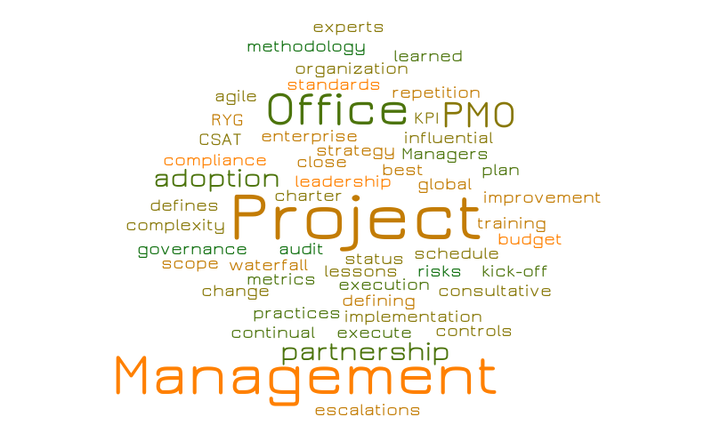 PMO Word Cloud – Word cloud – WordItOut