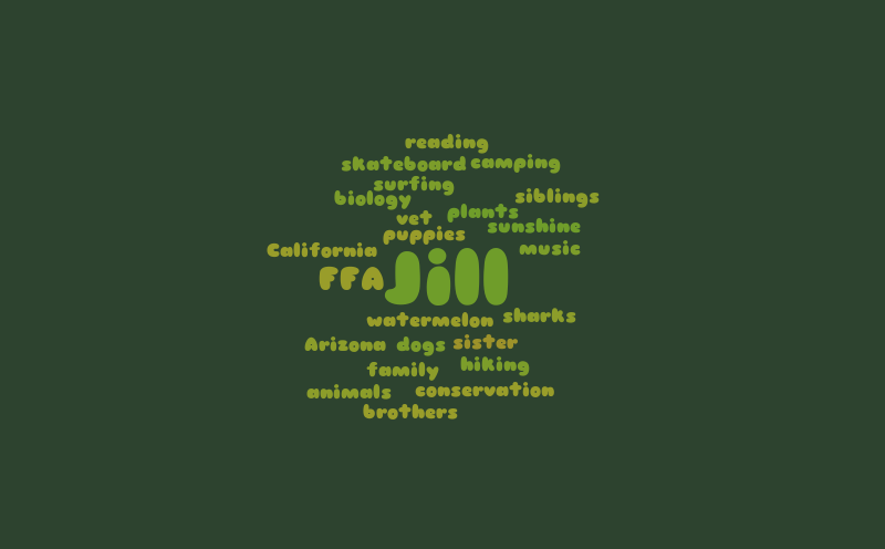 wc – Word cloud – WordItOut