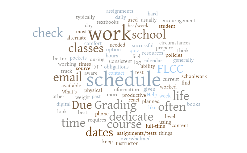Questions from students – Word cloud – WordItOut