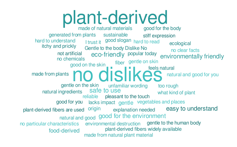 S17 – Word cloud – WordItOut