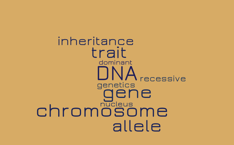 Genetics Wordart – Word cloud – WordItOut