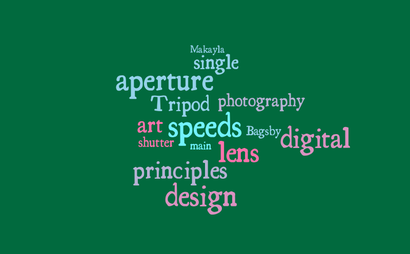 MaKayla Bagsby Photography – Word cloud – WordItOut