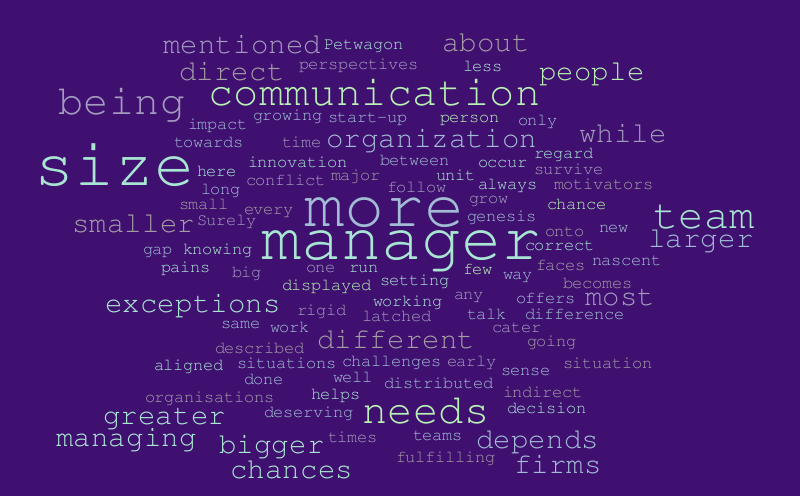Team Size – Word cloud – WordItOut