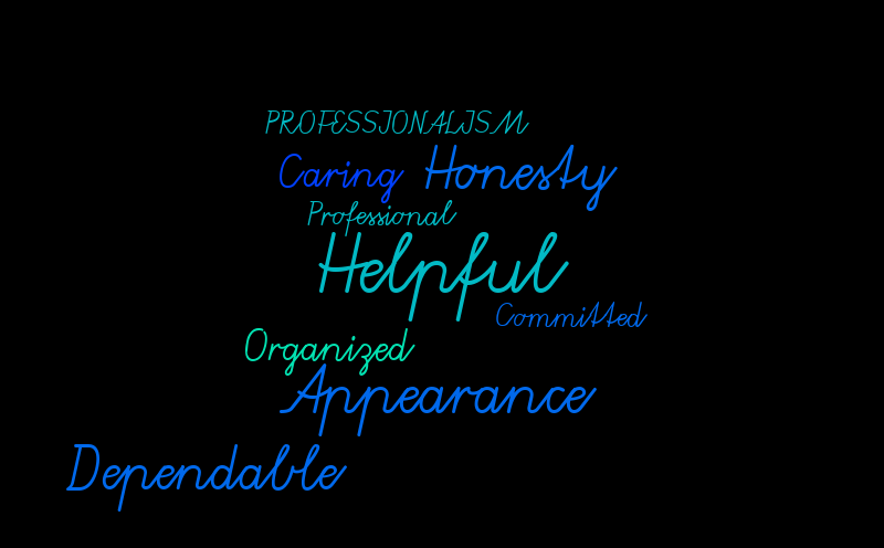 Professionalism – Word cloud – WordItOut