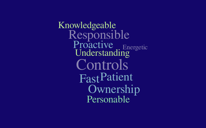 AM – Word cloud – WordItOut