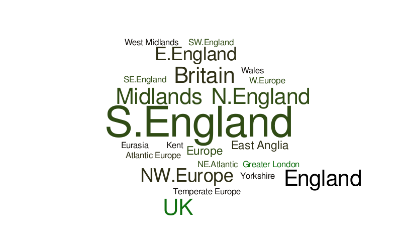 Untitled – Word cloud – WordItOut