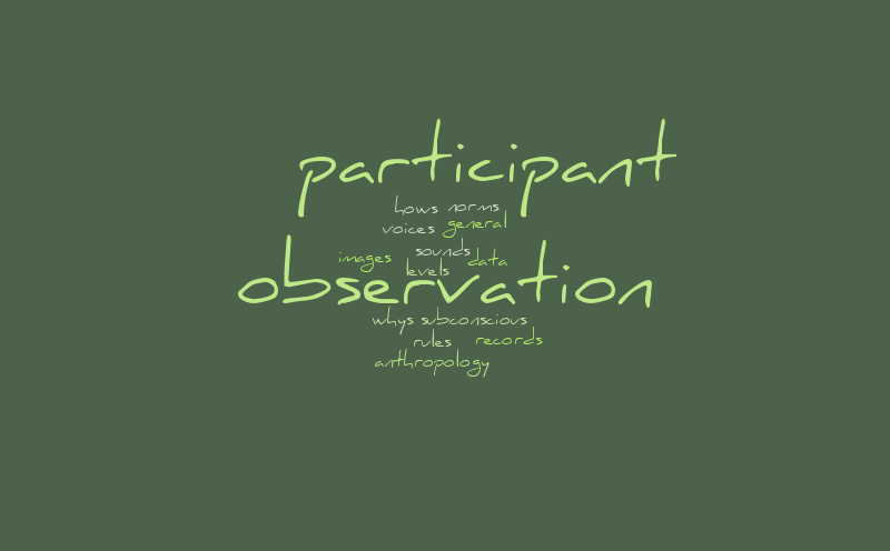 particpant observation – Word cloud – WordItOut