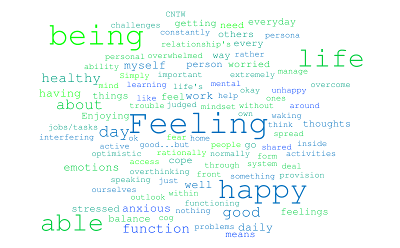 MH survey 2 – Word cloud – WordItOut