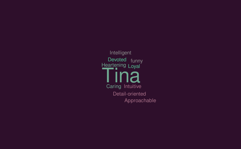 Tina – Word cloud – WordItOut