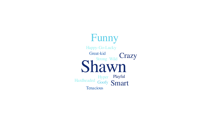 Shawn – Word cloud – WordItOut