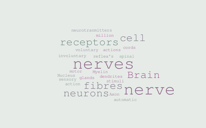 Neuron – Word cloud – WordItOut