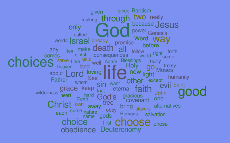 Making a Good Choice – Word cloud – WordItOut