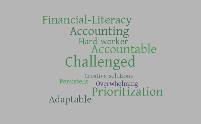 CAS-400 Word Cloud 2 – Word cloud – WordItOut