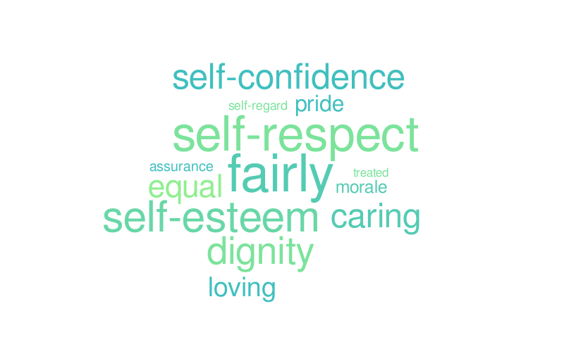 HPE - Self-Respect – Word cloud – WordItOut