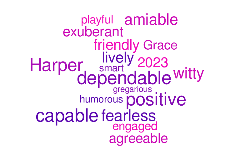 2 harper – Word cloud – WordItOut