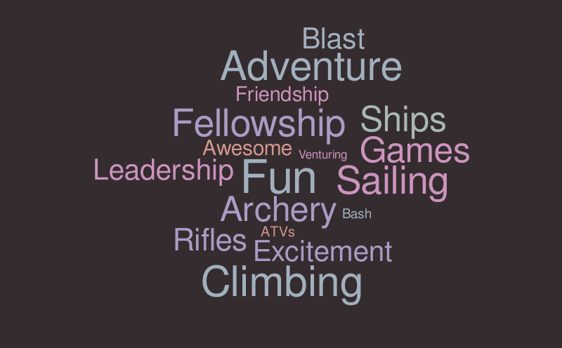 Wordcloud RAVE – Word cloud – WordItOut