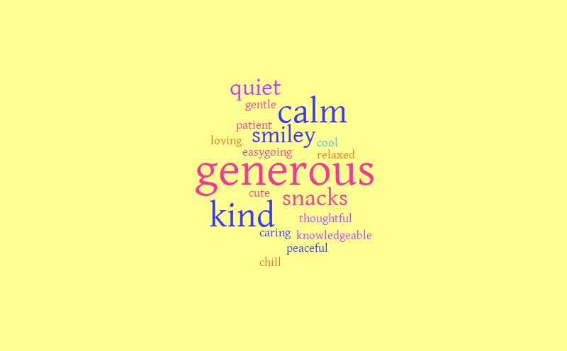 Rochel2 – Word cloud – WordItOut