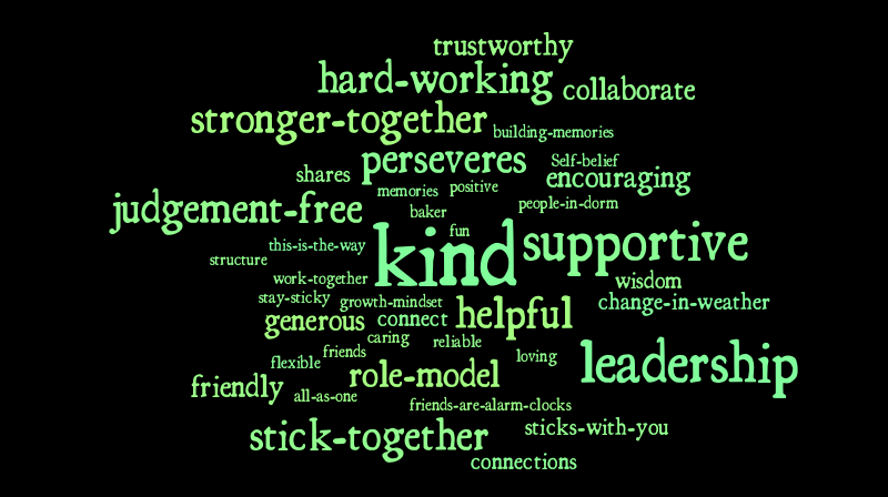Dev Team Team Values 3 – Word cloud – WordItOut