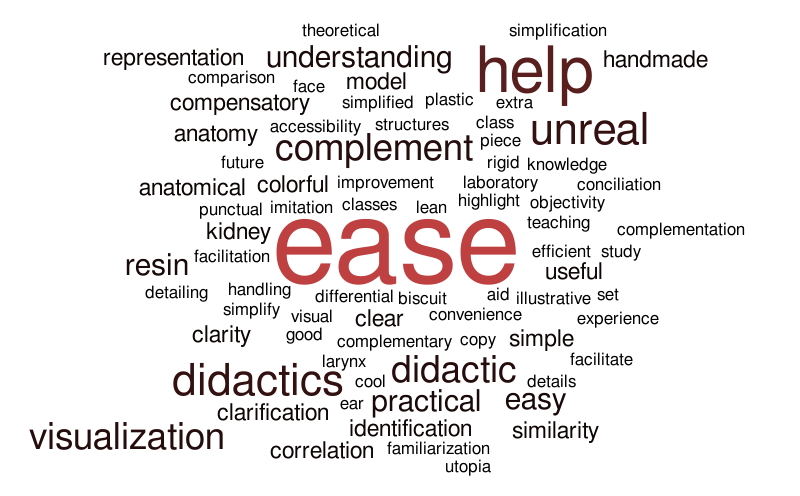 Untitled – Word cloud – WordItOut