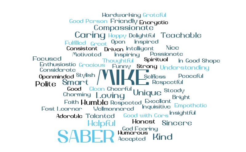 2317 – Word cloud – WordItOut