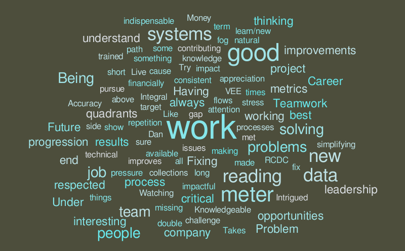 SMOC Self Assessment – Word cloud – WordItOut