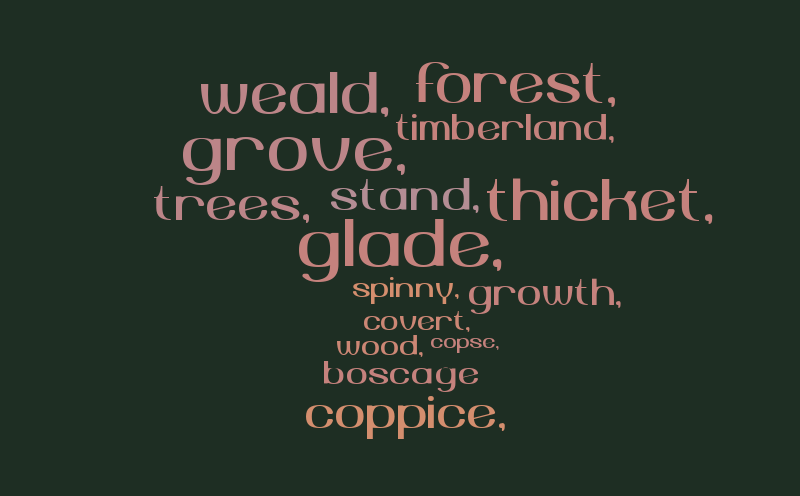 theatre Forest – Word cloud – WordItOut