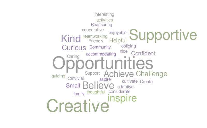 RSM word cloud – Word cloud – WordItOut