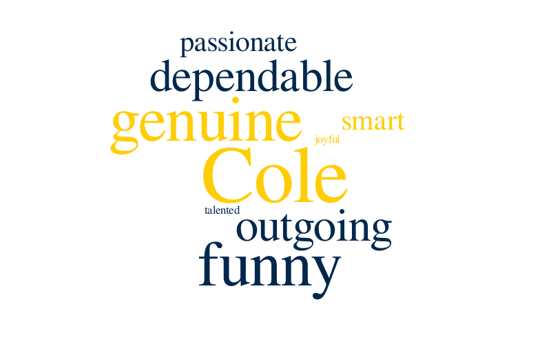 cole 3 – Word cloud – WordItOut