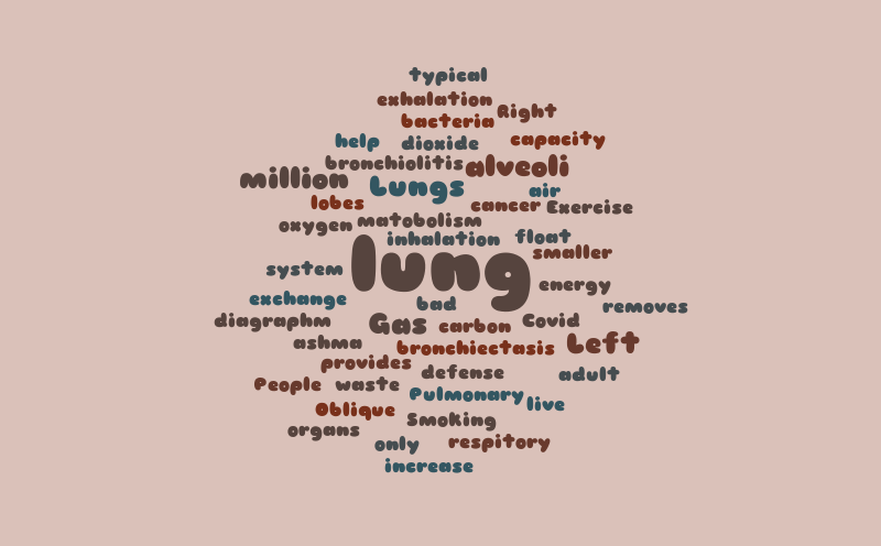 Lung – Word cloud – WordItOut
