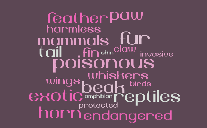 Animal parts – Word cloud – WordItOut