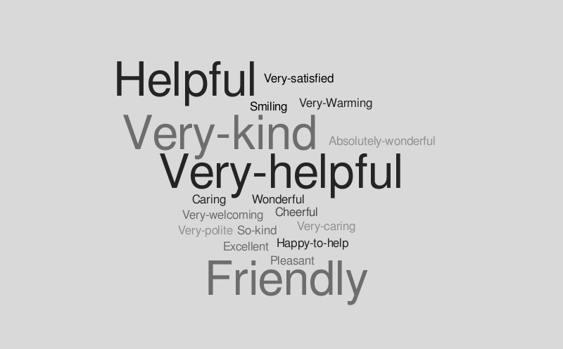 patient feedback nov 24 – Word cloud – WordItOut