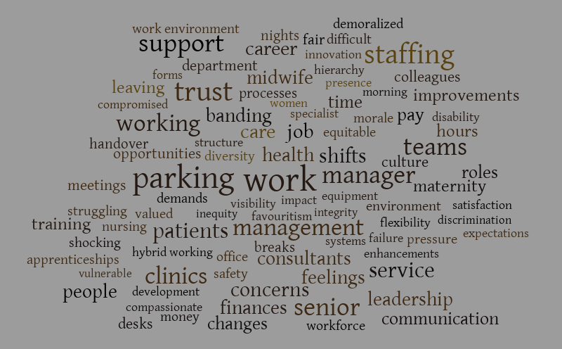 Staff Survey – Word cloud – WordItOut