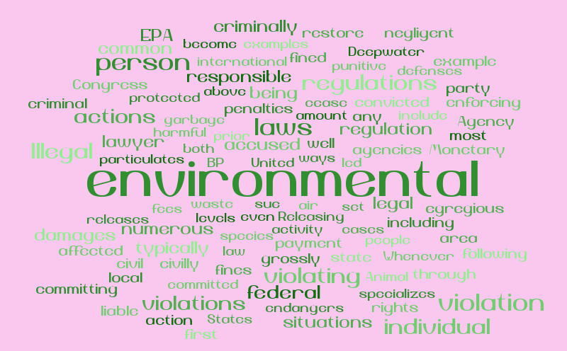 Environmental Law Violations – Word cloud – WordItOut