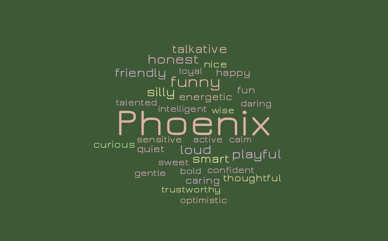 Phoenix G. – Word cloud – WordItOut