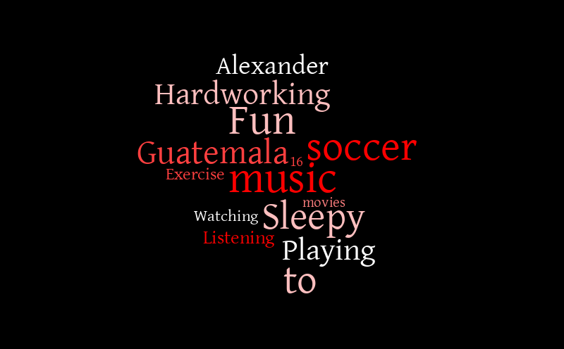 SL 3 – Word cloud – WordItOut