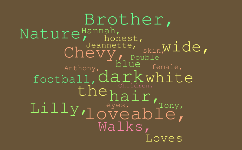 Attributes – Word cloud – WordItOut