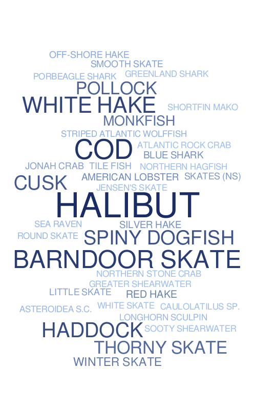 WEBMR Species Cloud – Word cloud – WordItOut