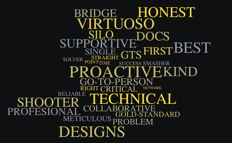 diane recognition v1 – Word cloud – WordItOut