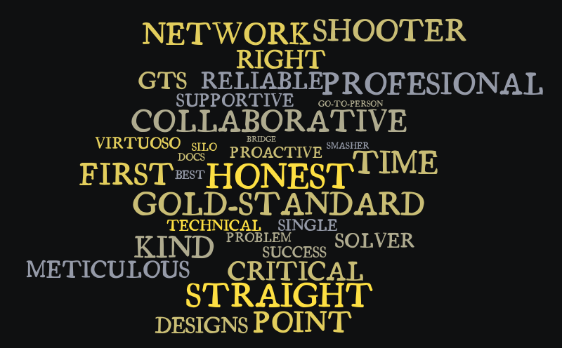 diane recognition v2 – Word cloud – WordItOut