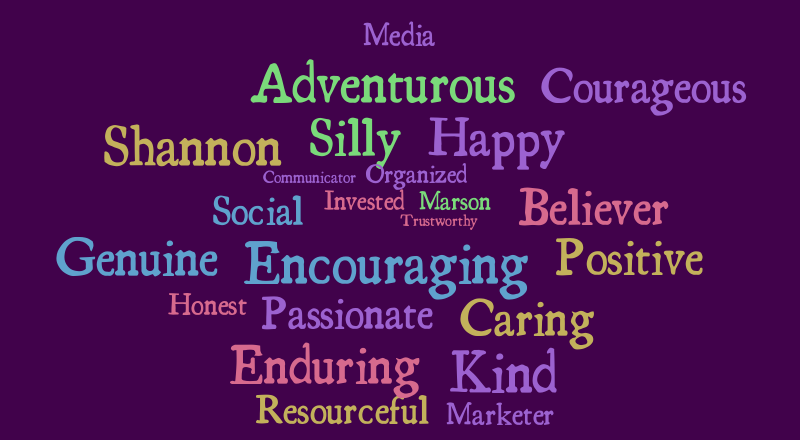 Professional Development – Word cloud – WordItOut