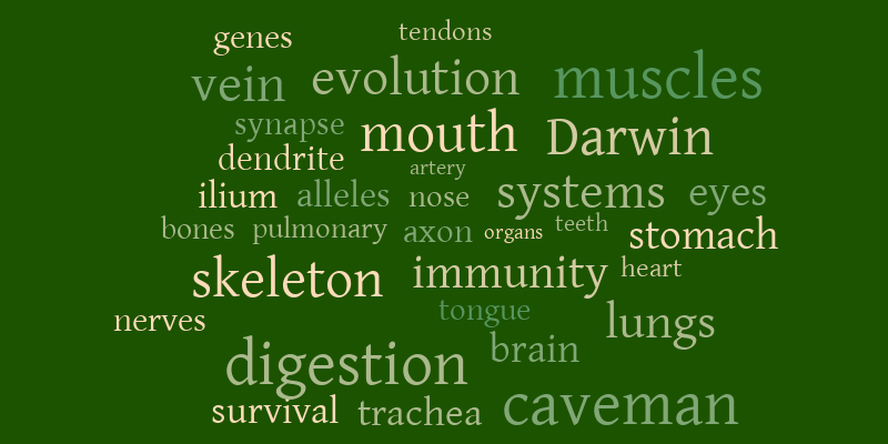 Body Systems word cloud – Word cloud – WordItOut