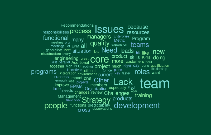 HGST Interview Summary – Word cloud – WordItOut