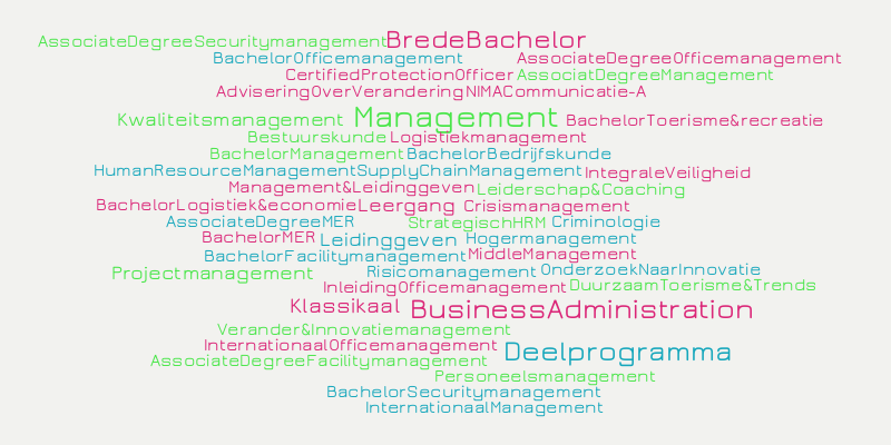 Domein BA 3 – Word cloud – WordItOut